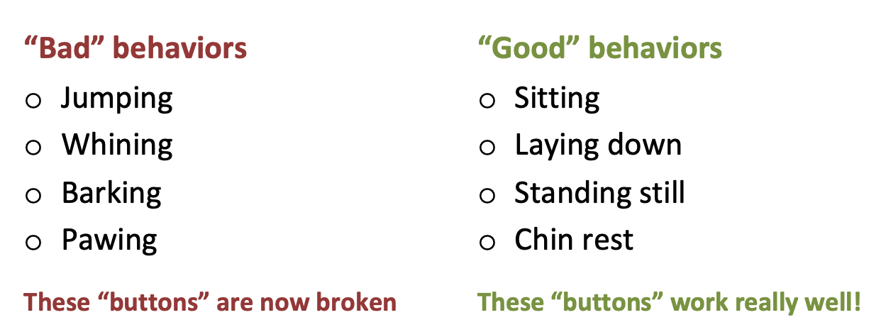 I have a need! Demand behaviors and how to “fix” them | Dog Defined