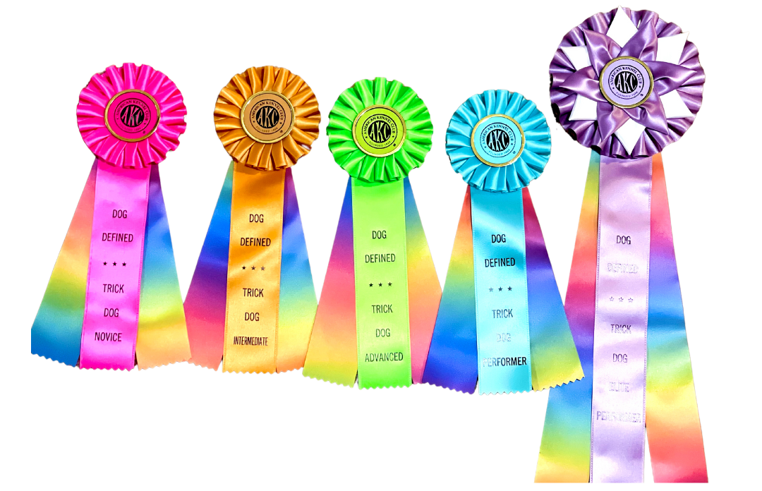 AKC Title testing | Dog Defined