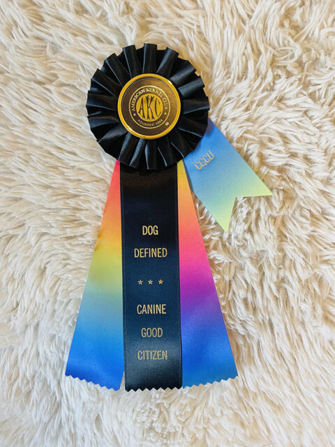 CGCU – Canine Good Citizen Urban ribbon | Dog Defined